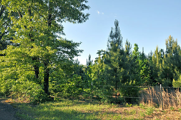 East Texas Land - Rural Acreage For Sale - Recreational & Wooded ...