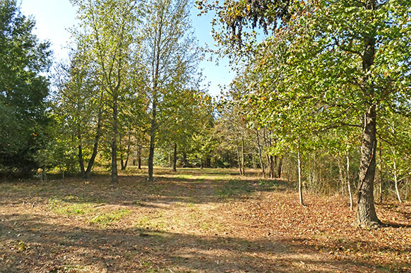 East Texas Land - Rural Acreage For Sale - Recreational & Wooded ...