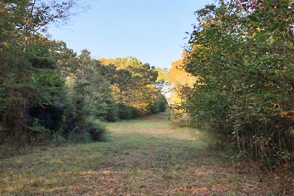 East Texas Land - Rural Acreage For Sale - Recreational & Wooded ...
