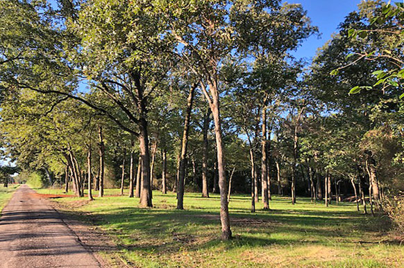 East Texas Land - Rural Acreage For Sale - Recreational & Wooded ...