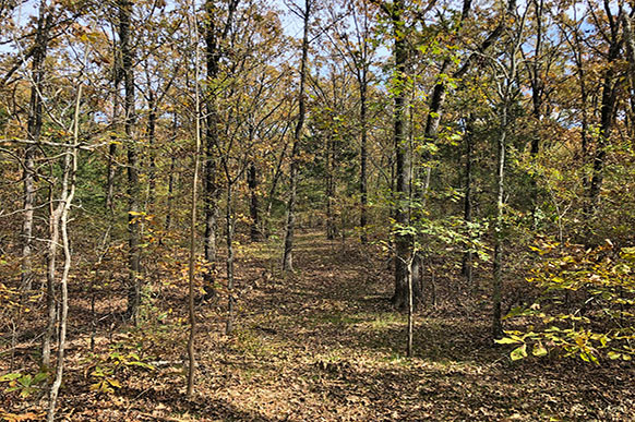 East Texas Land - Rural Acreage For Sale - Recreational & Wooded ...