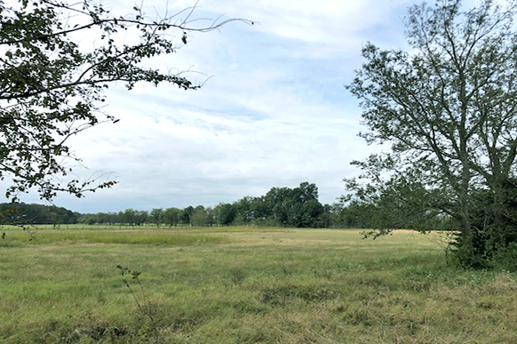 East Texas Land - Rural Acreage For Sale - Recreational & Wooded ...