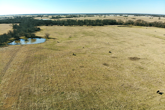 East Texas Land - Rural Acreage For Sale - Recreational & Wooded ...