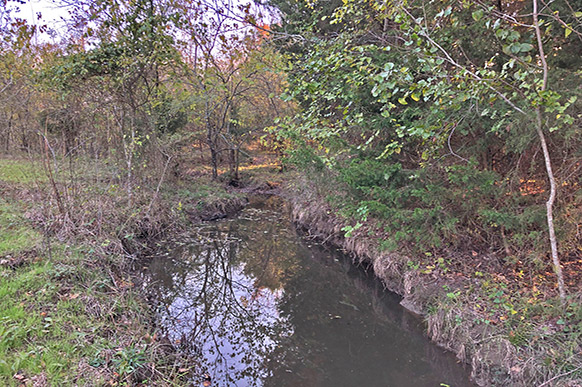 East Texas Land - Rural Acreage For Sale - Recreational & Wooded ...