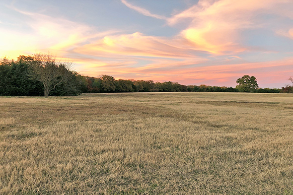 East Texas Land - Rural Acreage For Sale - Recreational & Wooded ...