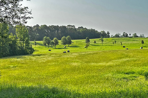 East Texas Land - Rural Acreage For Sale - Recreational & Wooded ...